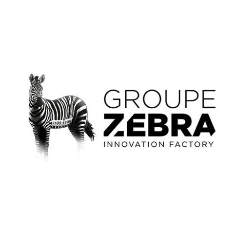 Zebra Group - Our history, our approach, our teams
