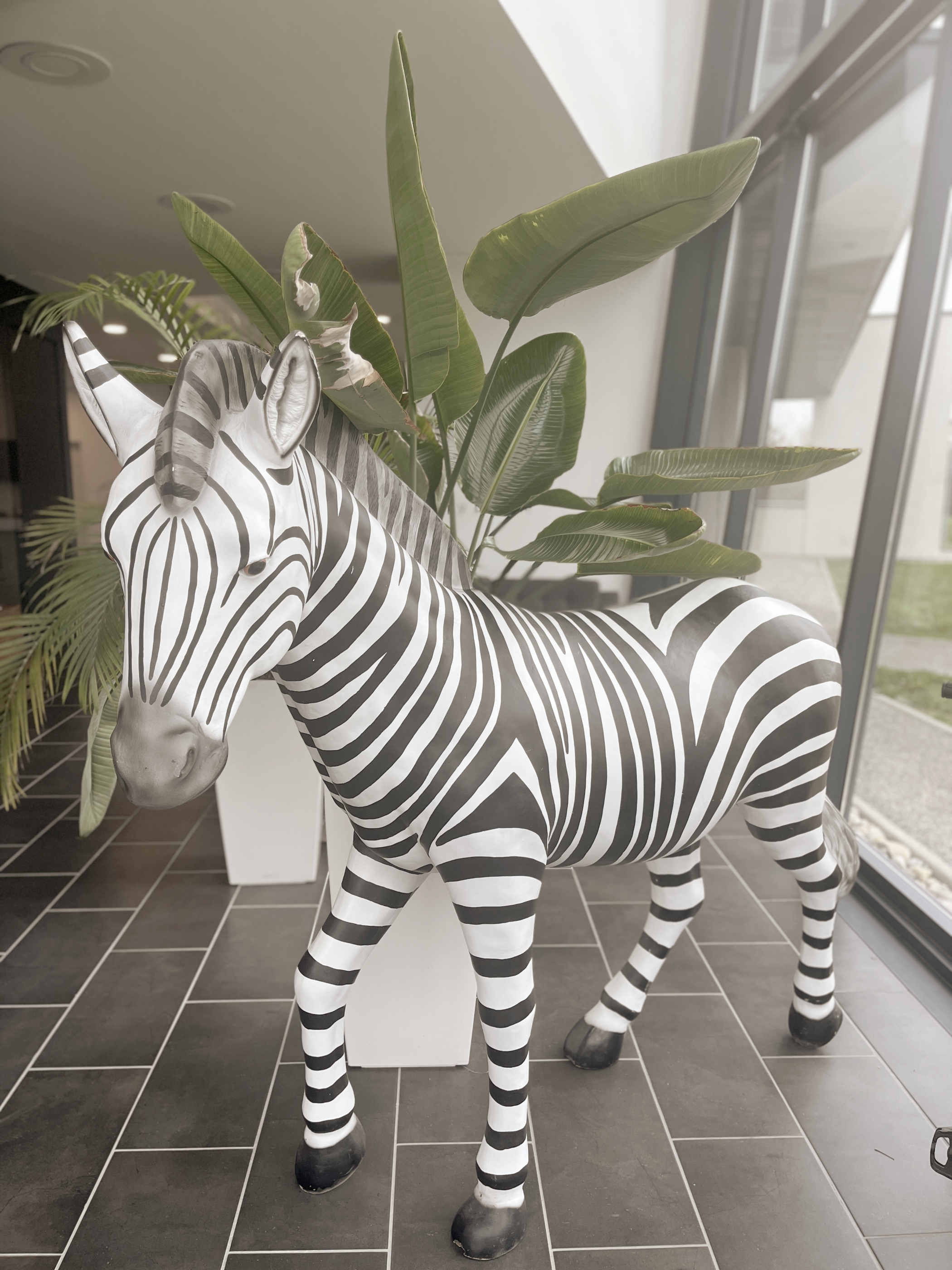 Design development - Groupe Zebra
