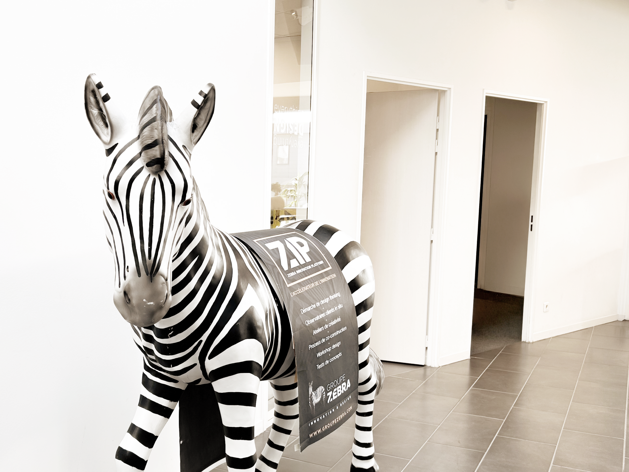 Our expertise - Groupe Zebra, innovation agency